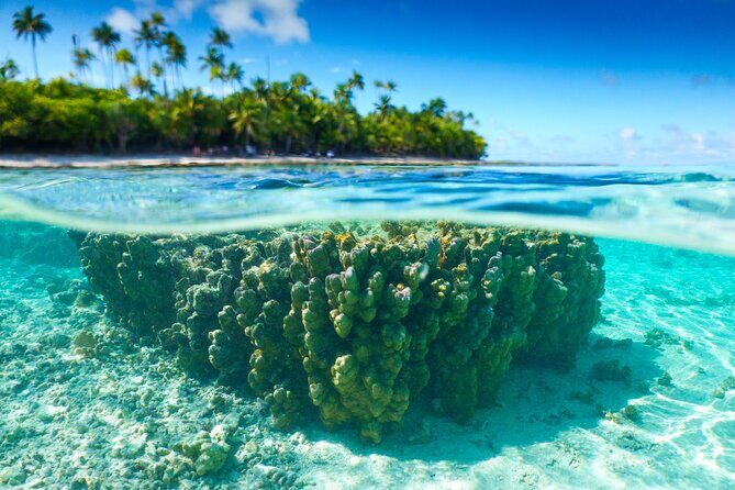 Excursion to Tetiaroa by Catamaran Visit Lunch Snorkeling - Key Points