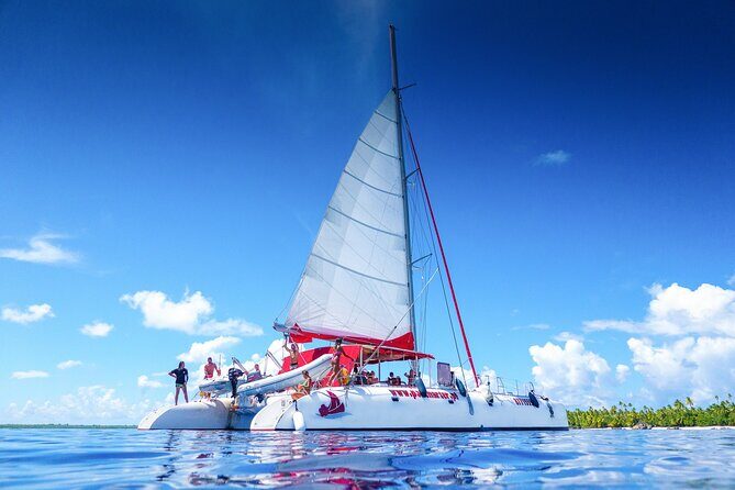 Excursion to Tetiaroa by Catamaran Visit Lunch Snorkeling - Introduction: Why This Tour Is Worth Considering