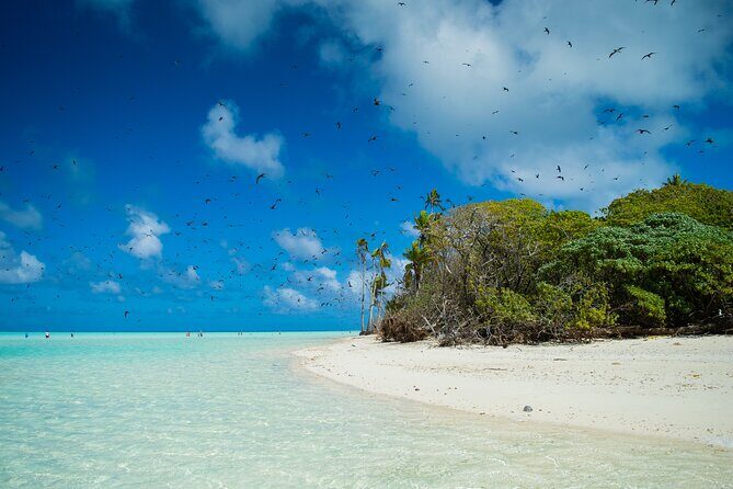 Excursion to Tetiaroa by Catamaran Visit Lunch Snorkeling - Final Thoughts