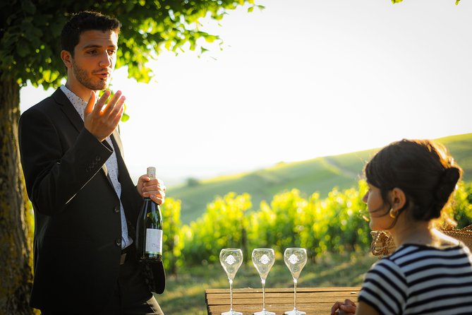 Excursion to the Champagne region and Wine Tasting - The Sum Up