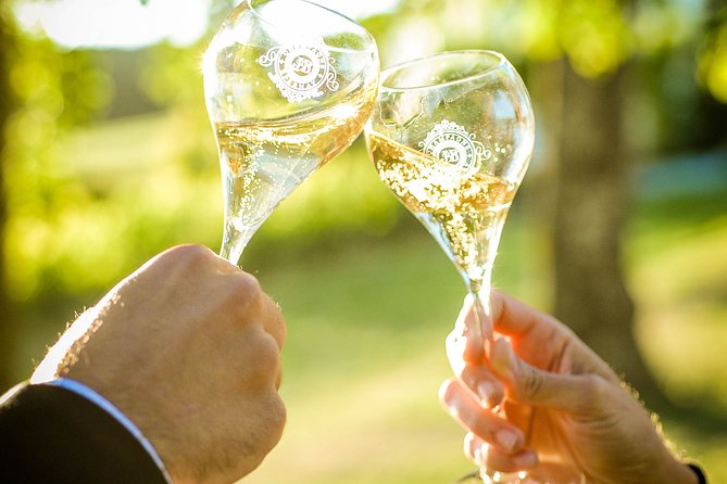 Excursion to the Champagne region and Wine Tasting - Frequently Asked Questions