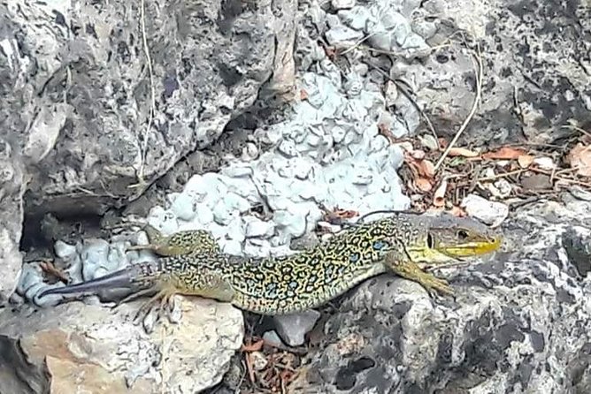 Excursion to the Enchanted City - Exploring the Natural Wonders