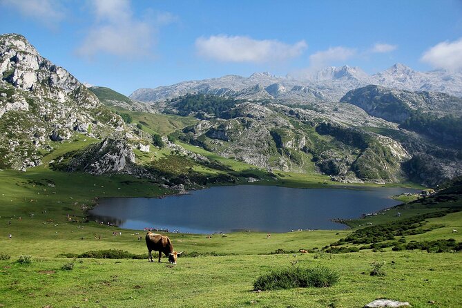 Excursion to the Lakes of Covadonga and Cangas De Onís From Oviedo - Potential Changes and Considerations