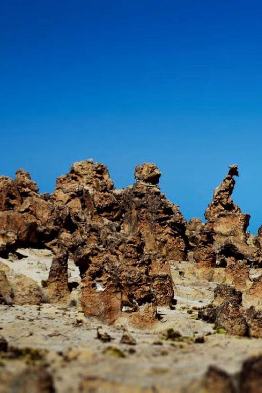 Excursion to the Pillones waterfalls - The Itinerary: How Your Day Unfolds