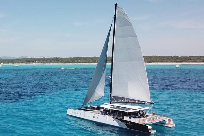 Excursion to the Rosario Islands With Lunch and Snorkeling - Snorkeling Experiences