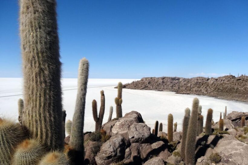Excursion to the Salar de Uyuni 1 Day + Lunch - Key Points