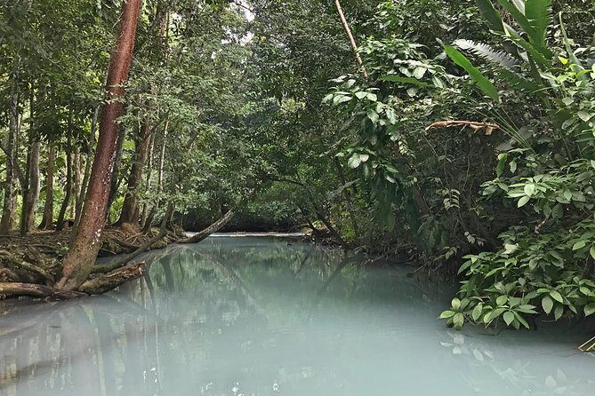 Excursion to Waterfalls of Villaluz and Tapijulapa "Magic Town" - Authentic Experiences and Traveler Feedback