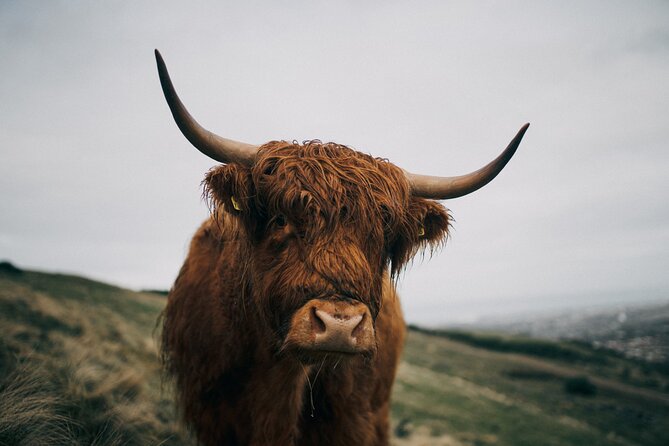 Executive Scottish Lowlands Tour - FAQ