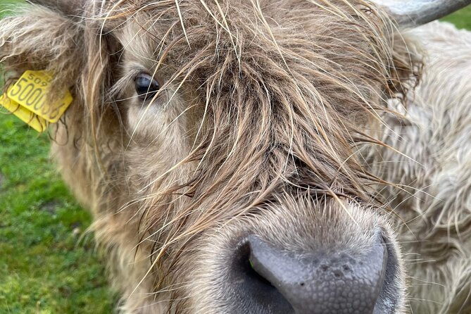 Executive Skye Tour from Portree Harbour - Return to Portree Harbour
