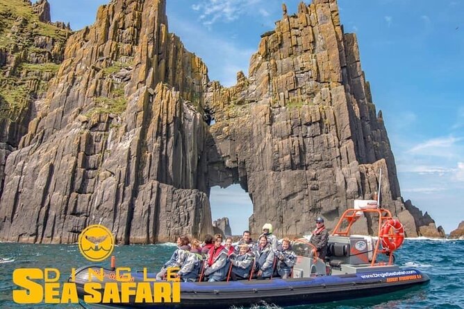 Exhilarating Rib experience - Dingle sea safari - Frequently Asked Questions