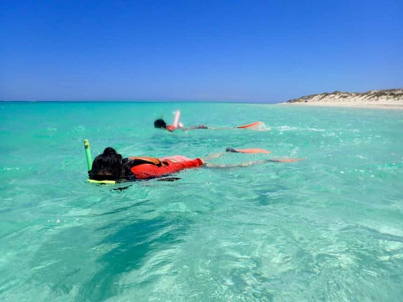 Exmouth: Full day Ningaloo in a Day tour - Is It Worth the Cost?