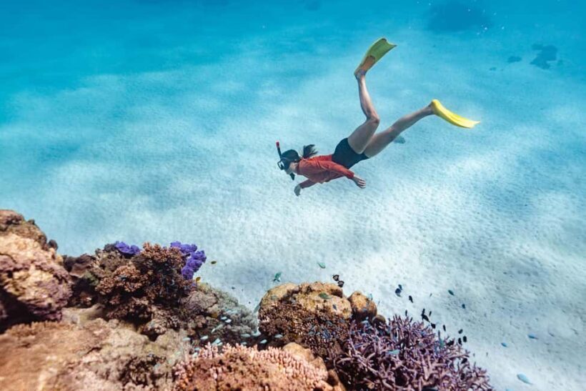 Exmouth: Guided Ningaloo Reef Snorkel Adventure - Introduction: What to Expect from the Ningaloo Snorkel Adventure