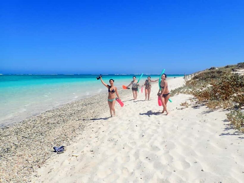 Exmouth: Guided Ningaloo Reef Snorkel Adventure - The Value of This Snorkel Tour: Price and Benefits