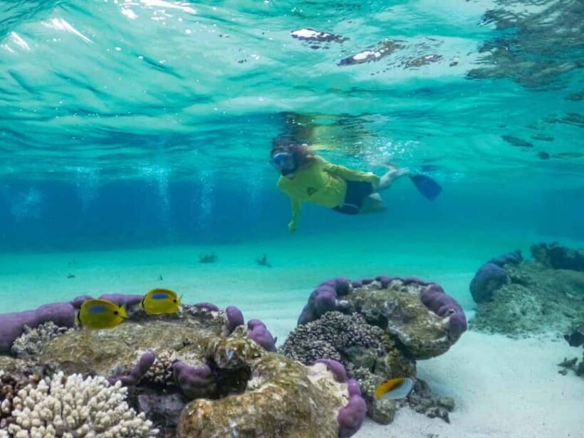 Exmouth: Half Day Coral by Kayak tour - An In-Depth Look at the Tour Experience