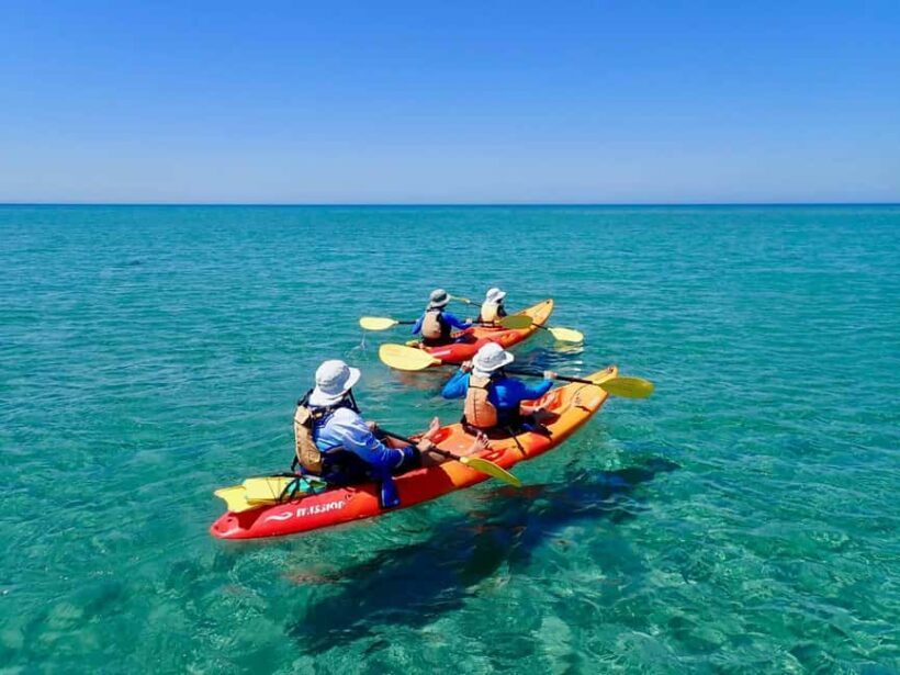 Exmouth: Half Day Turtle Kayak & Snorkel Tour - Key Points
