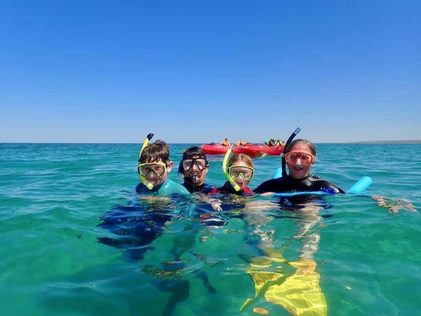 Exmouth: Half Day Turtle Kayak & Snorkel Tour - Who Will Enjoy This Tour?