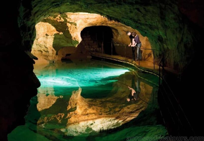 Exmouth Highlights Excursion - Cape Range National Park: Wildlife, Flora, and Scenic Wonders