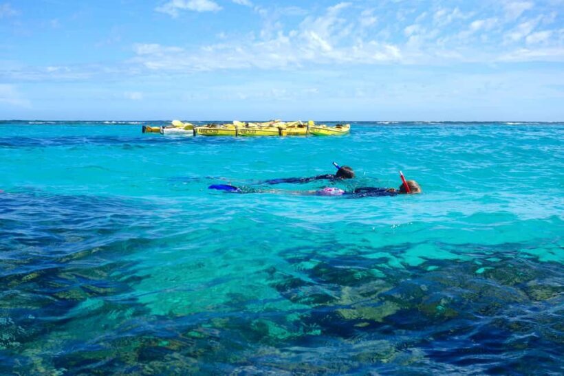 Exmouth: Lagoon Explorer - Full day kayak & Snorkel tour - An In-Depth Look at the Tour Experience