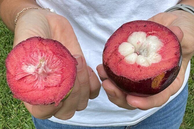 Exotic Fruit Tasting Tour in Kona - A Fresh Look at the Exotic Fruit Tasting Tour in Kona