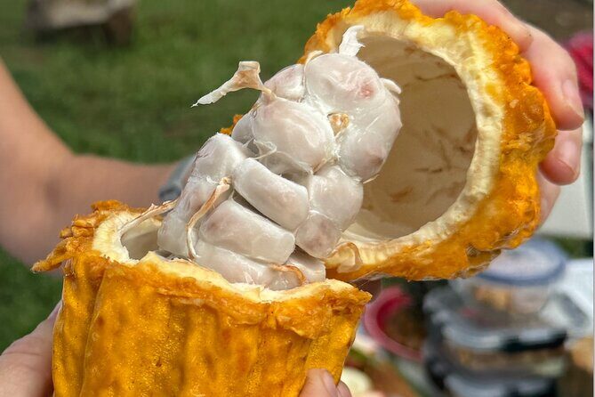 Exotic Fruit Tasting Tour in Kona - Who Will Love This Tour?