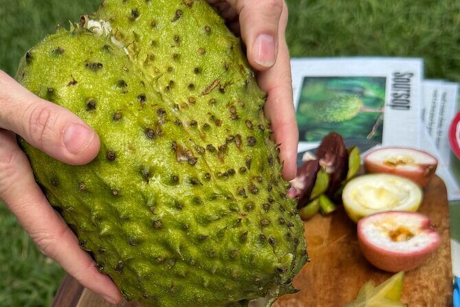 Exotic Fruit Tasting Tour in Kona - The Value of the Exotic Fruit Tasting Tour