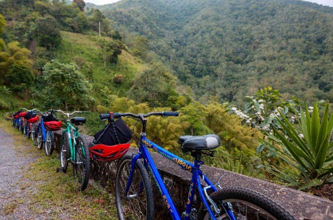 Exotic Full-Day Blue Mountain Bicycle Adventure - The Scenic Descent: Nature and Views