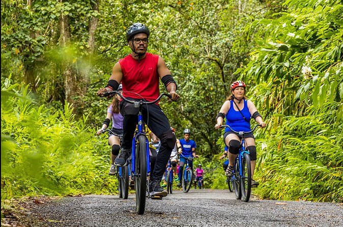 Exotic Full-Day Blue Mountain Bicycle Adventure - Non-Cyclists and Family Friendly Options