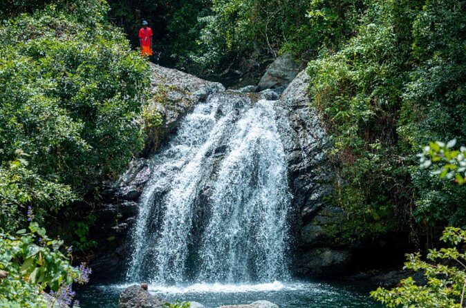 Exotic Full-Day Blue Mountain Bicycle Adventure - What Travelers Say (From Available Reviews)