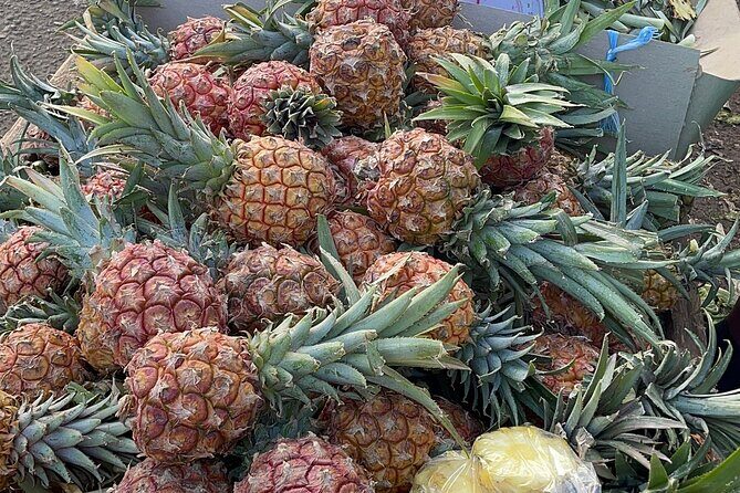 Exotic Full Day Kingston Culture Tour from Ocho Rios - Authentic Experiences According to Past Travelers