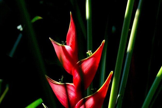 Exotic Garden EN Rancho Ecoturístico - Transport, Duration, and Group Size