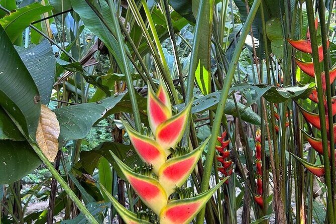 Exotic Garden EN Rancho Ecoturístico - The Sum Up: Who Will Appreciate This Tour?