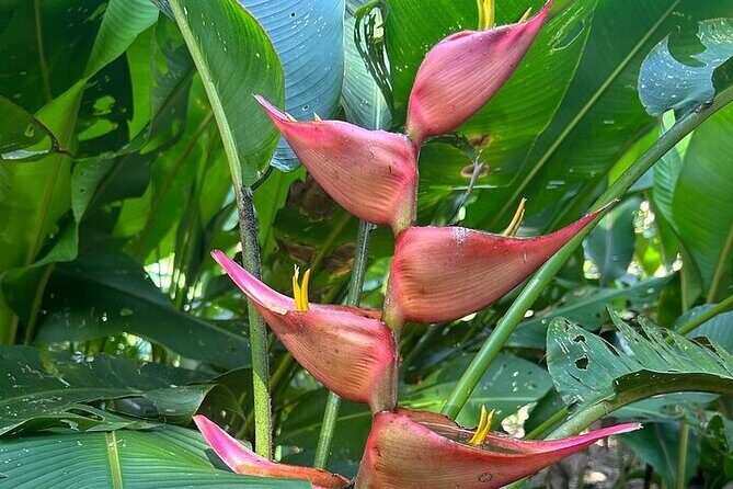 Exotic Garden EN Rancho Ecoturístico - FAQ