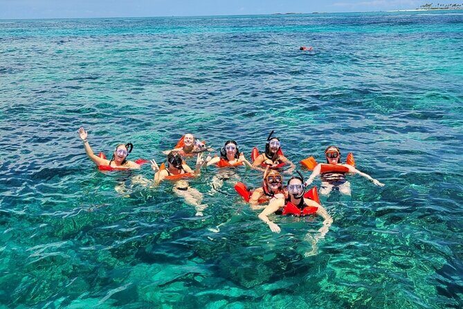 Exotic half day private charters to Rose Island, Pigs and Turtles - An In-Depth Look at the Tour Itinerary