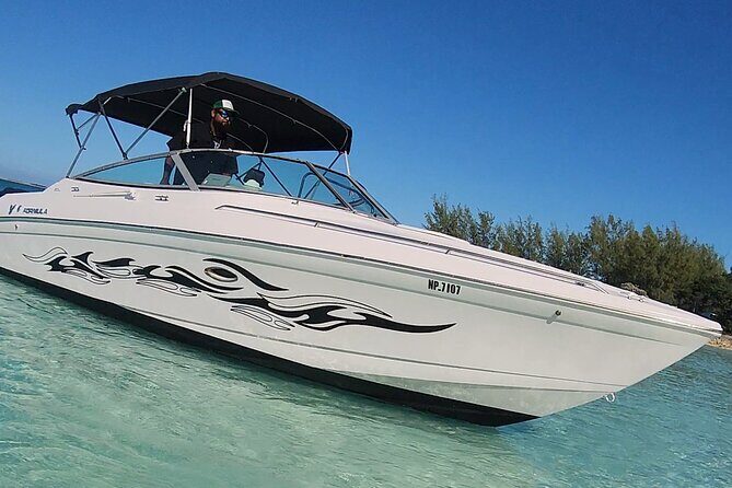 Exotic half day private charters to Rose Island, Pigs and Turtles - Practical Details and Tips