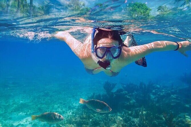 Exotik half a day tour: Cenote Cave and Swimming with Sea Turtles - Who Will Love This Tour?