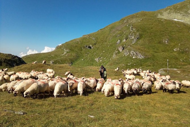 Expedition in Fagaras Mountains from Brasov (Private Tour!) - The Value of the Tour