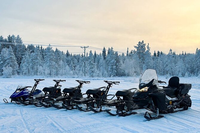 Expedition "INTO THE WILD" Safari and Lunch in Glass Igloo - Practical Details and Logistics