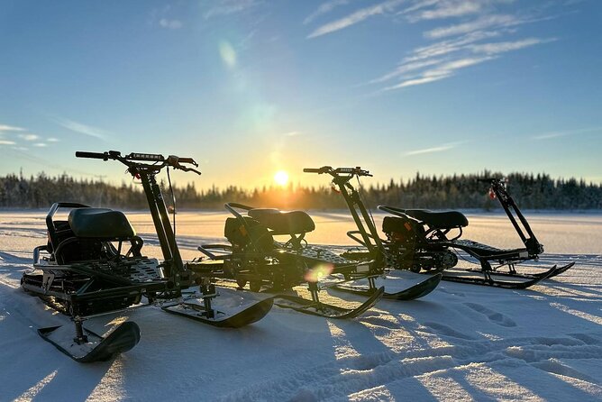 Expedition "INTO THE WILD" Safari and Lunch in Glass Igloo - Who Will Love This Tour?