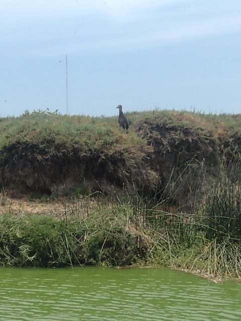 Experiece in Pachacamac and Pantanos de Villa - FAQ