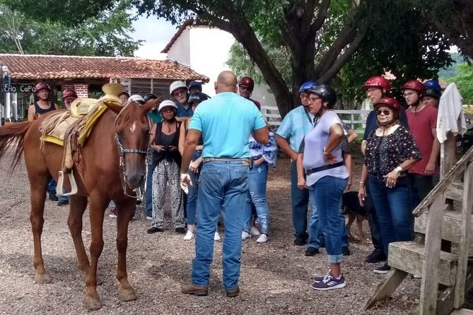Experience 3 in 1 - Horse Riding, Zipline & ATV Shared - A Closer Look at What This Tour Offers