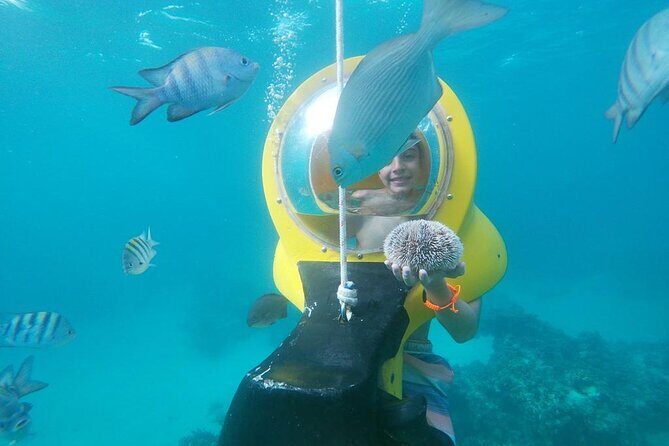 Experience a Submarine Scooter with ScubaDoo Punta Cana - Who Should Consider This Tour?