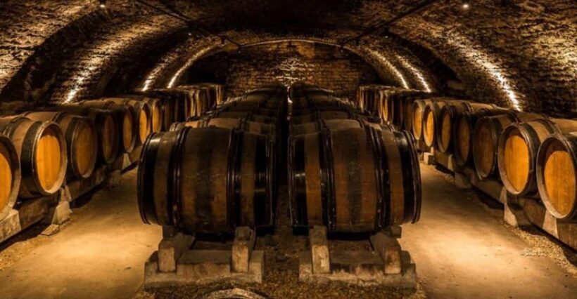 Experience a Tuscany Weekend in Florence and Chianti - Final Thoughts