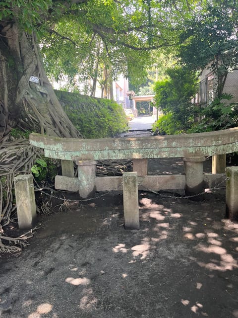Experience About the Blessings of the Earth in Sakurajima. - Relaxing in a Self-Dug Hot Spring