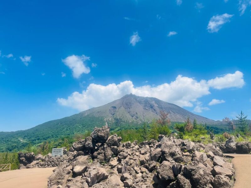 Experience About the Blessings of the Earth in Sakurajima. - Accessibility and Inclusivity