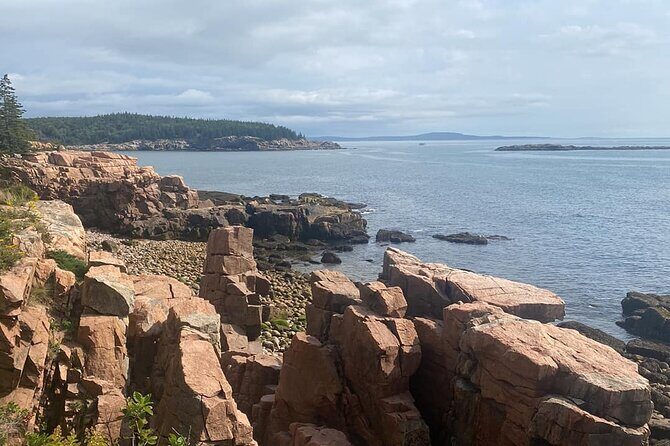 Experience Acadia: Private 3-hr tour with local guide. - What the Reviews Say