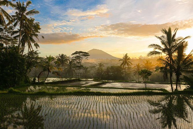 Experience Authentic Balinese Village Life on a Day Trip - Ubud - Who Will Love This Tour?