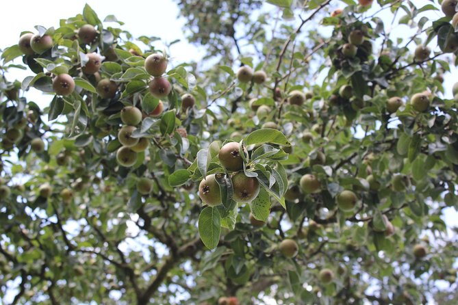 Experience Authentic Belgian Cuisine: Cooking Lesson and Meal With a Ghent Local - Indulging in Decadent Belgian Desserts