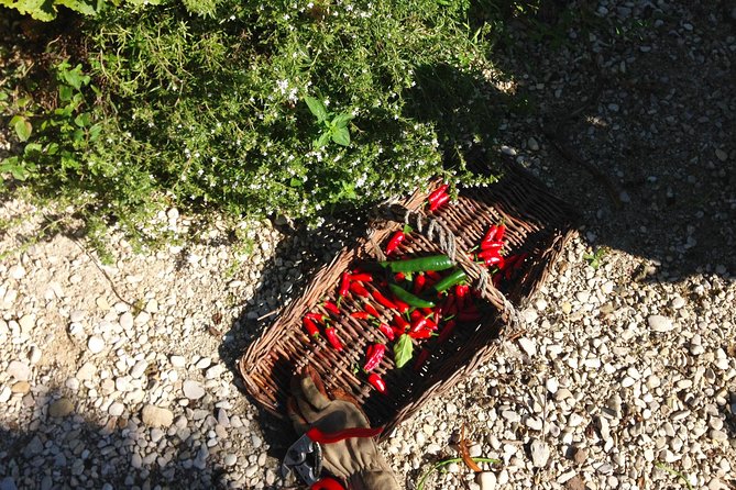 Experience Authentic Belgian Cuisine: Cooking Lesson and Meal With a Ghent Local - Connecting With a Ghent Local and Host