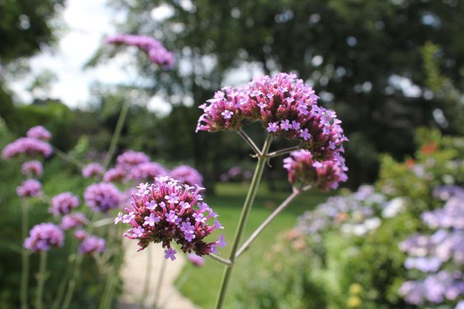 Experience Authentic Belgian Cuisine: Cooking Lesson and Meal With a Ghent Local - Logistics and Meeting Details