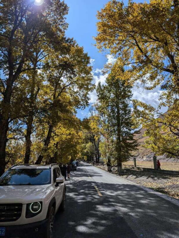 Experience Authentic Chengdu with a Personalized Local Guide - Experience Authentic Chengdu with a Personalized Local Guide